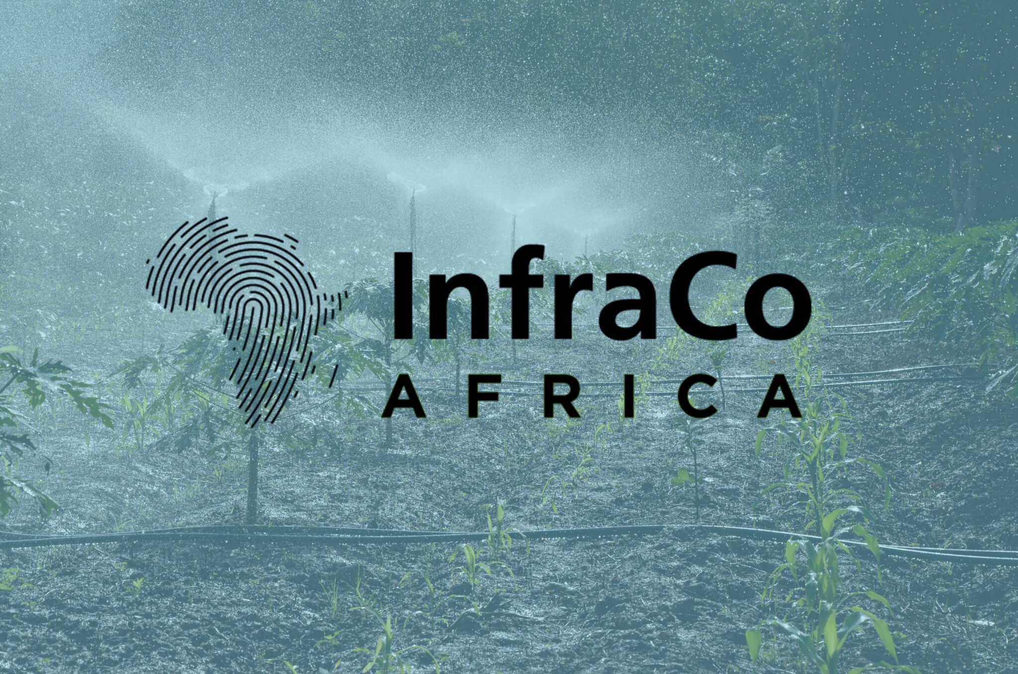 InfraCo Africa Case Study | Integro Languages